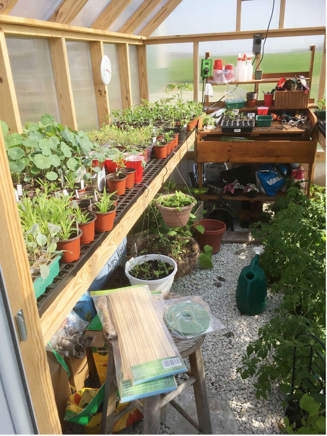 How to Design the Interior of Your Greenhouse