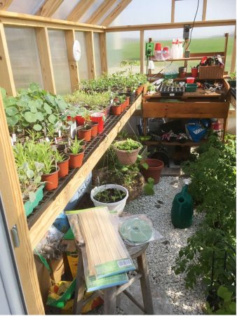 How to Design the Interior of Your Greenhouse