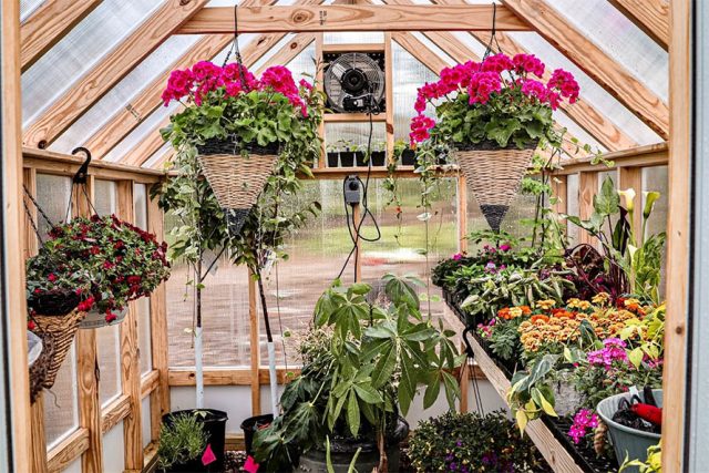 Greenhouse Planning Tips to Optimize Your Greenhouse Space